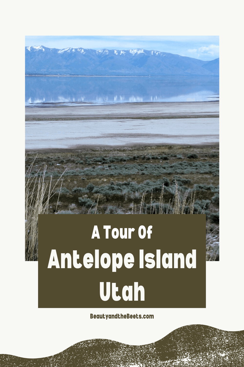 Antelope Island State Park Utah Beauty and the Beets